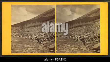 Silver Forest, Mt. Washington, by John B. Heywood Stock Photo - Alamy