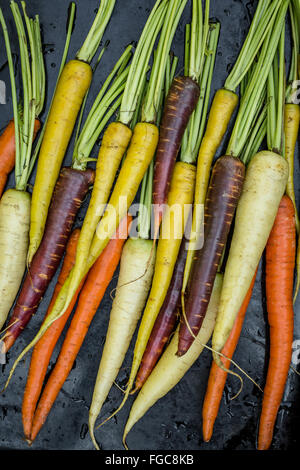 carrots on a white background. Healthy diet. Root vegetable isolate ...
