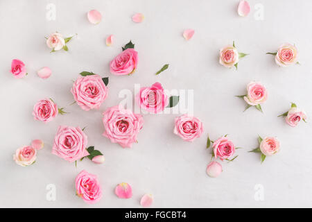 Red rose bud in woman's hand and rose petals. Skin care and perf Stock ...