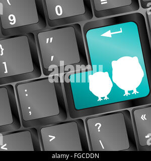 owl sign on computer keyboard key button Stock Photo - Alamy