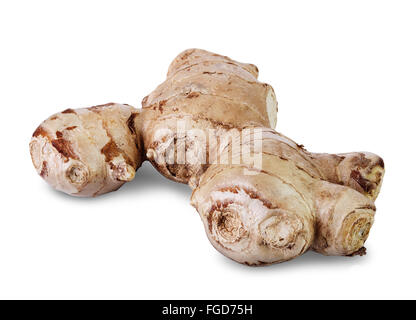 Fresh ginger root isolated on white background. Copy space Stock Photo ...