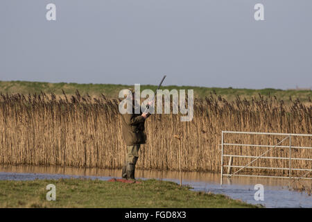 Shooting wildfowl on Deepdale Marsh, Norfolk Stock Photo - Alamy