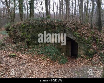 Verdun, France. 20th Feb, 2014. A view of overgrown craters on the ...