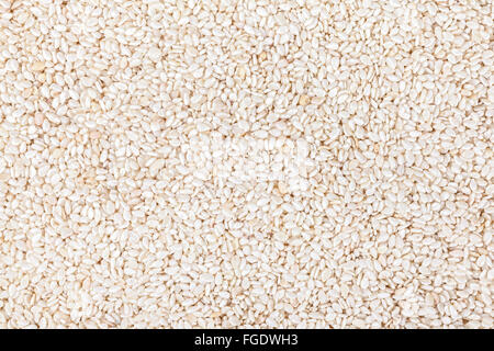 Close up picture of sesame seeds Stock Photo - Alamy