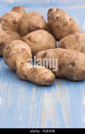 Jerusalem artichokes (Helianthus tuberosus) tubers with roots isolated ...