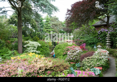 Compton Acres is a large privately owned garden in Poole, Dorset ...