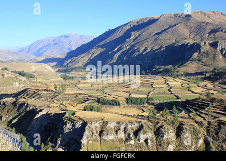The Colca Valley. Peru Stock Photo - Alamy