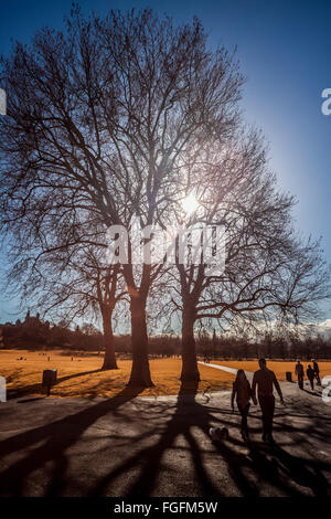 Winter sunshine seen in Greenwich park covered in heavy snow brought in ...