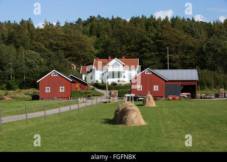 Typical Swedish farm, near Kode, Bohuslän, southwest Sweden, Sweden ...