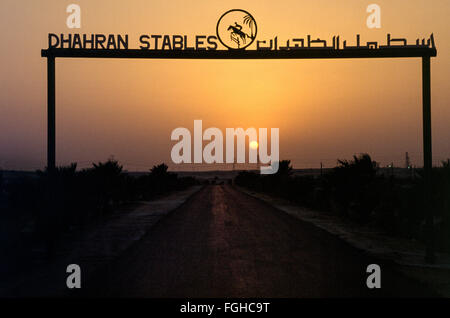 The Dhahran Stables on the Saudi Aramco Oil Company compound Stock ...