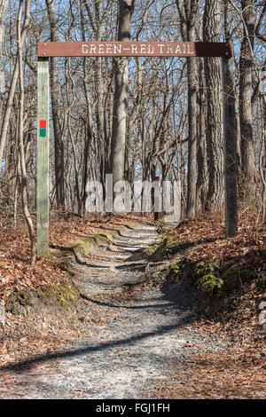 Cheesequake State Park Trails Stock Photo - Alamy
