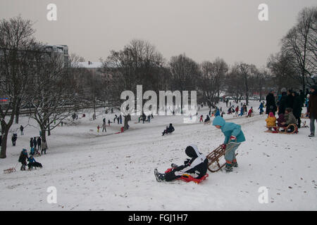 sledding Berlin Germany Stock Photo - Alamy