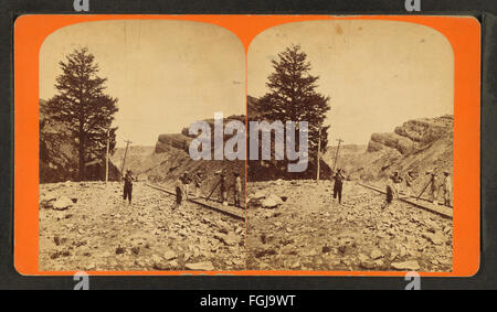 One Thousand Mile Tree, Weber Canon, Utah, by Savage, C R (Charles ...