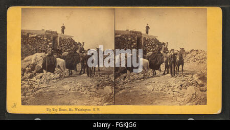This photograph by the Bierstadt Brothers shows the Tip Top House on ...