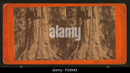 Uncle Sam, by Union View Co Stock Photo - Alamy