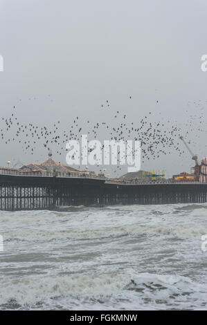 Brighton, England. 20th February 2016. UK Weather. Light rain, strong ...