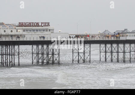 Brighton, England. 20th February 2016. UK Weather. Light rain, strong ...
