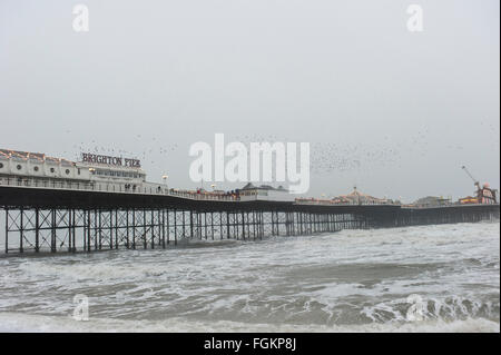 Brighton, England. 20th February 2016. UK Weather. Light rain, strong ...