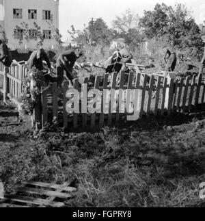 Nazism/National Socialism, organisations, German Labour Service, flag ...