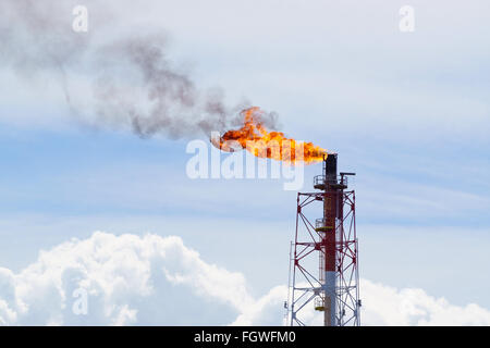 Flaring Methane Gas Fire Flare Tower in Refinery Petroleum Refinery ...