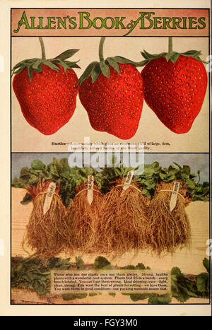 Allen's Book of Berries is a comprehensive guide on various berry ...