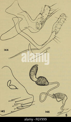 'Danmarks Fauna' (1907) is a detailed illustrated guide to Denmark’s ...