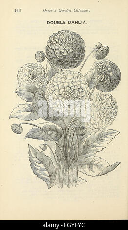 This garden calendar offers timely advice and recommendations for ...