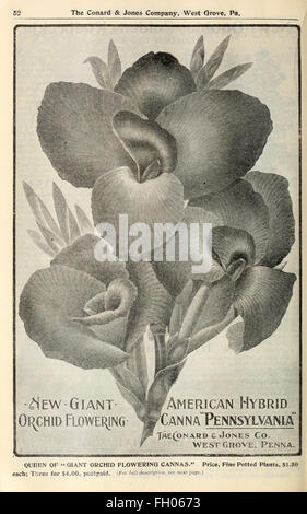 An updated floral guide offering detailed descriptions of various ...