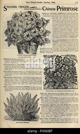 The 'New Floral Guide' provides updated advice and guidance for ...