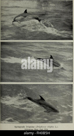 A 1915 publication from the Society of Natural Science Friends in ...