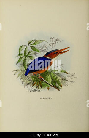This monograph on the Alcedinidae family provides an in-depth study of ...
