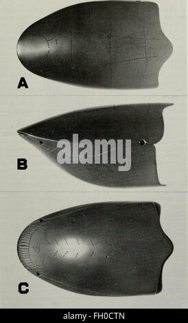 . The Cyathaspididae; a family of Silurian and Devonian jawless ...