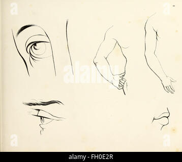 This book offers step-by-step lessons on drawing various subjects, such ...