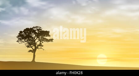A Lone Tree with Misty Sunset, Sunrise Stock Photo - Alamy