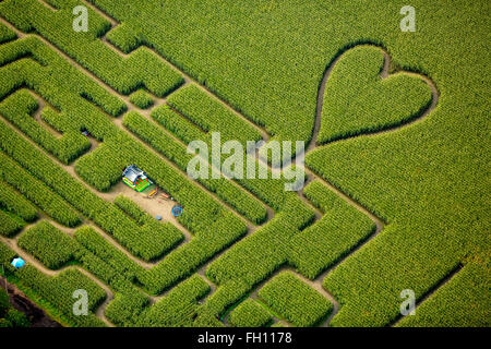 Labyrinth with a heart in the cornfield, corn maze, green heart, heart ...