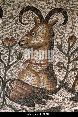 Roman mosaic of a Phoenix. Ibex head. Detail. From Daphne, a suburb ...