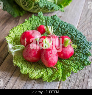 Radish and savoy cabbage Stock Photo - Alamy