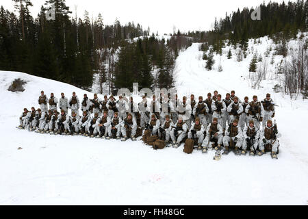 U.S. Marines assigned to Marine Air Control Group 48, look over radar ...