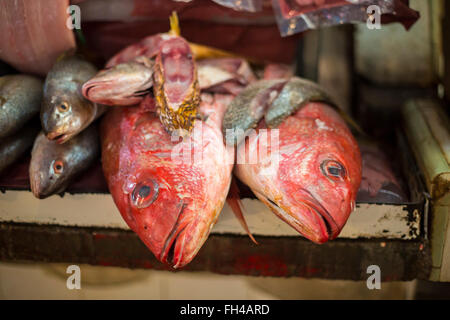 Oaxaca, Mexico - Fish on sale at the Benito Juarez Market. Opened in ...