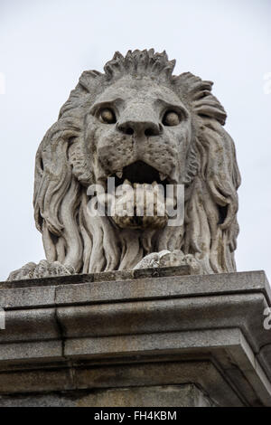 One Of Four Lion Statues Outside St George's Hall, Liverpool ...