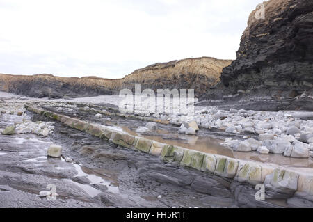 Blue Lias cliffs on the beach at Lyme Regis, Dorset, UK Stock Photo - Alamy
