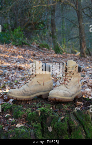 A well worn pair of the iconic premium waterproof leather Timberland ...