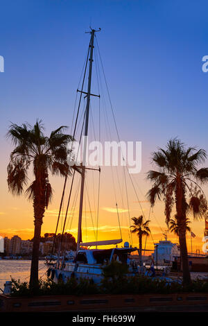 Denia sunset in Marina palm trees at Mediterranean Spain of Alicante ...