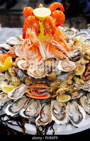 French Championship of Oysters Sellers, Bercy, Paris, France Stock ...