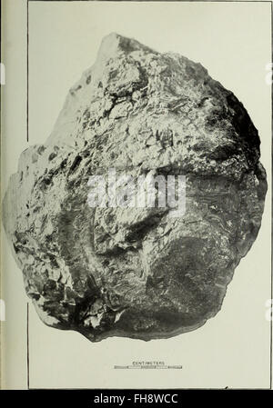 The annual report of the United States Geological Survey for 1898 ...