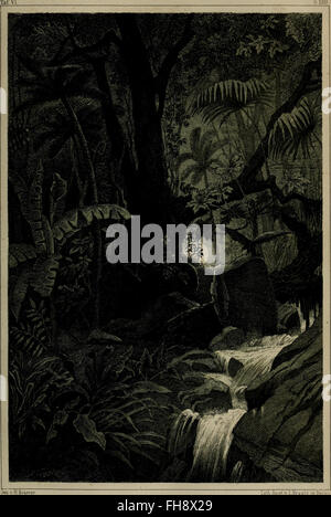 A 1859 work on plant geography, offering a popular presentation of the ...