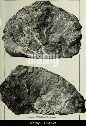 The annual report of the United States Geological Survey for 1898 ...