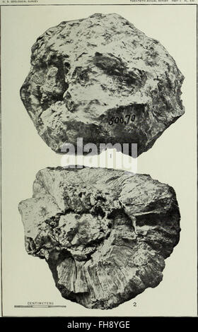 The 1898 annual report from the United States Geological Survey ...