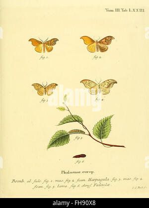 A pictorial work on butterflies of Europe, illustrating species in ...
