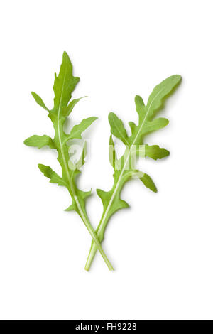 Rucola (Eruca sativa), rocket, arugula, arugula, oil rocket, rocket ...